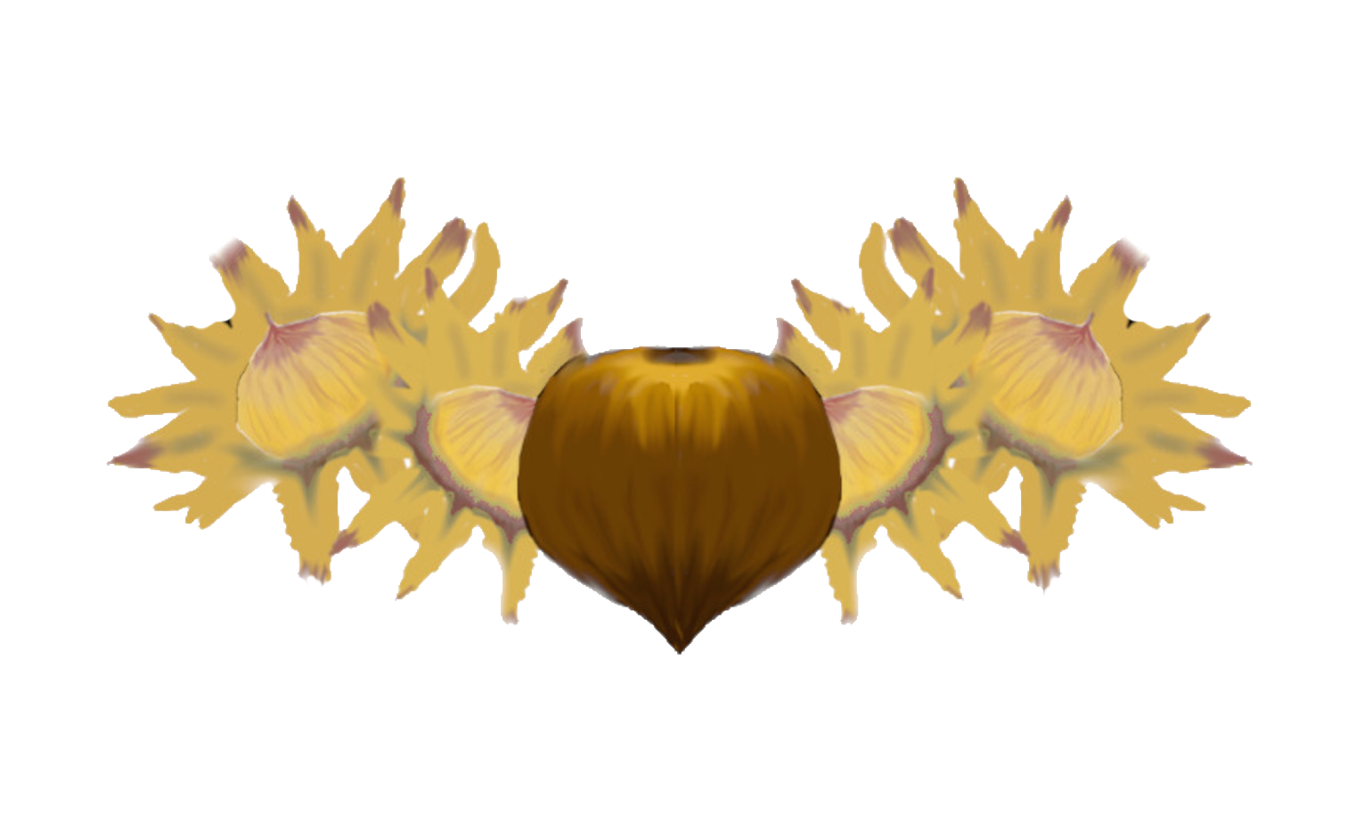 Our Community Vision – Hazel Cooperative